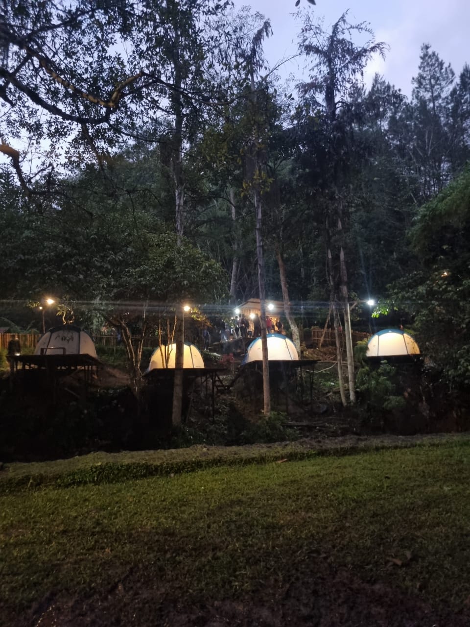 Pentago Garden Bener Meriah: Konsep Agrowisata Sensasi Berkemah di ...